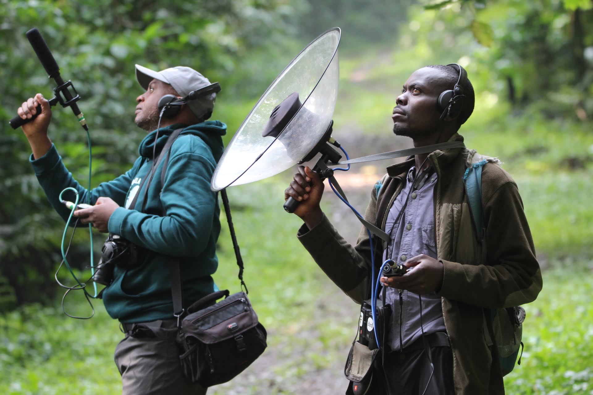Big Year of African Sounds - eBird Uganda