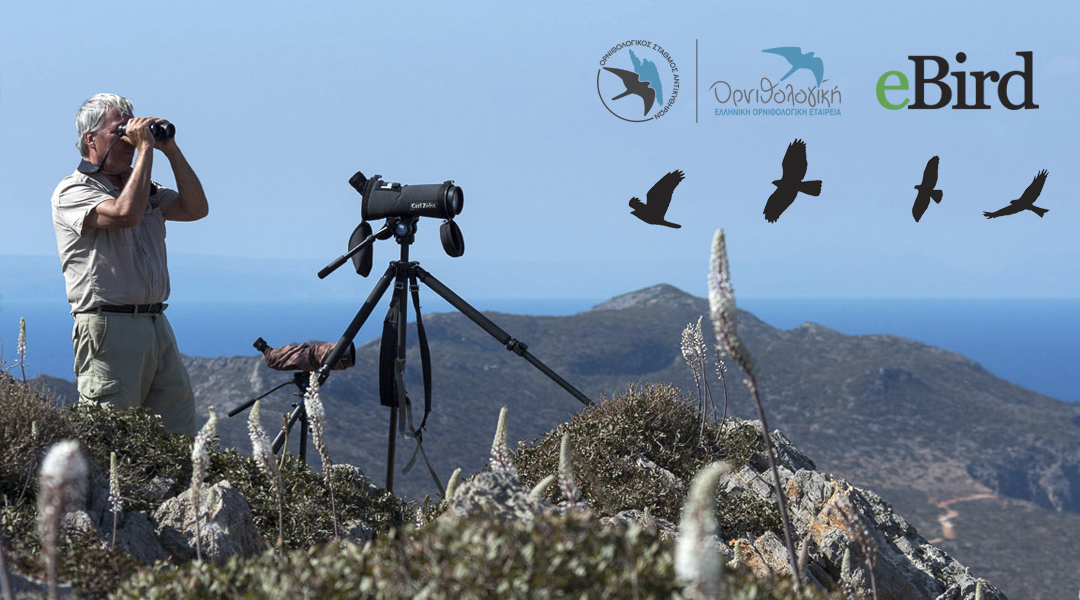 Monitoring Migratory Birds in Greece: Insights from Citizen Science ...