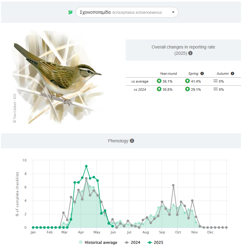 How do we birders perceive bird migration? How was Spring 2025? - eBird ...