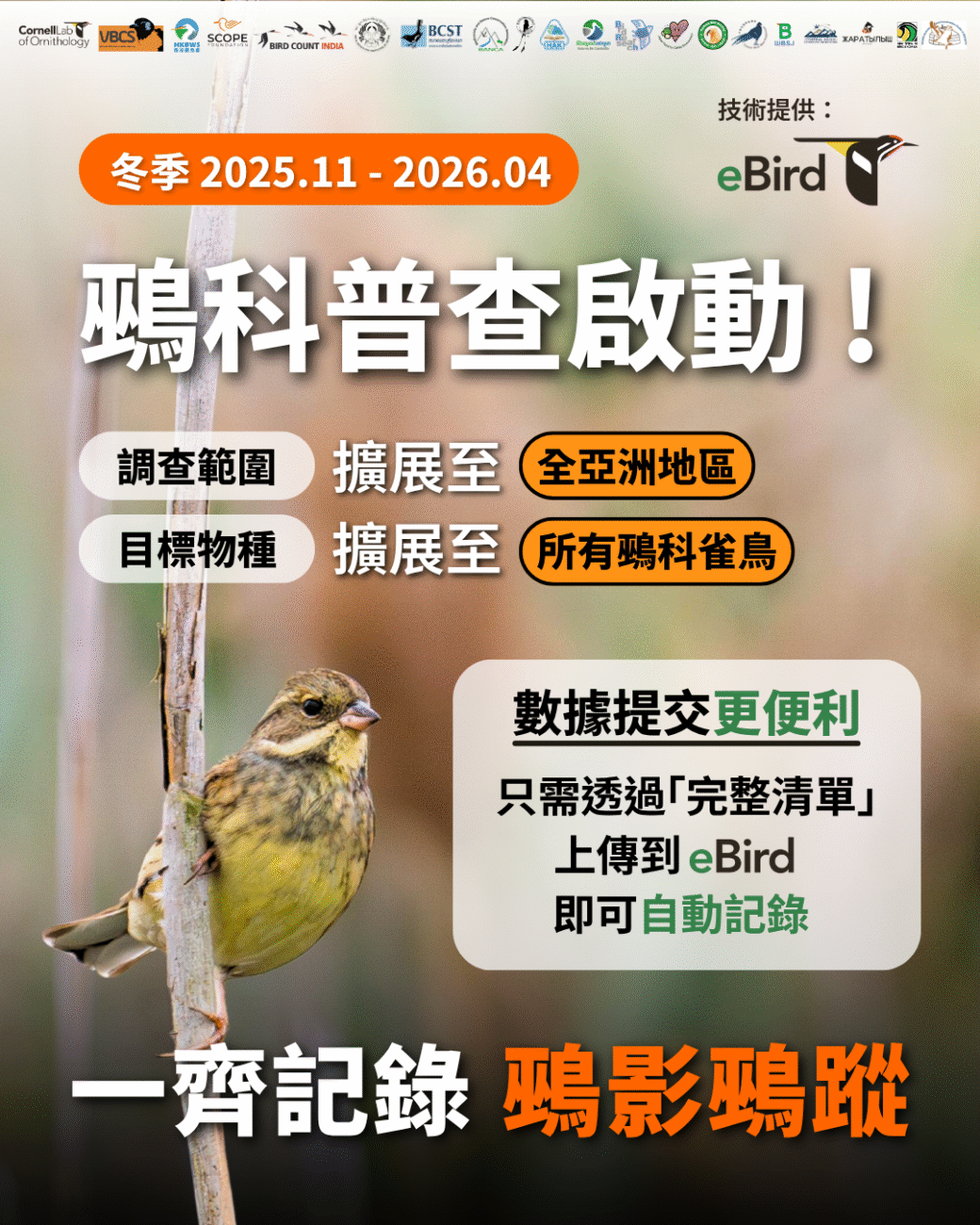 【全面升級】2025-26冬季數數鵐 - eBird Hong Kong