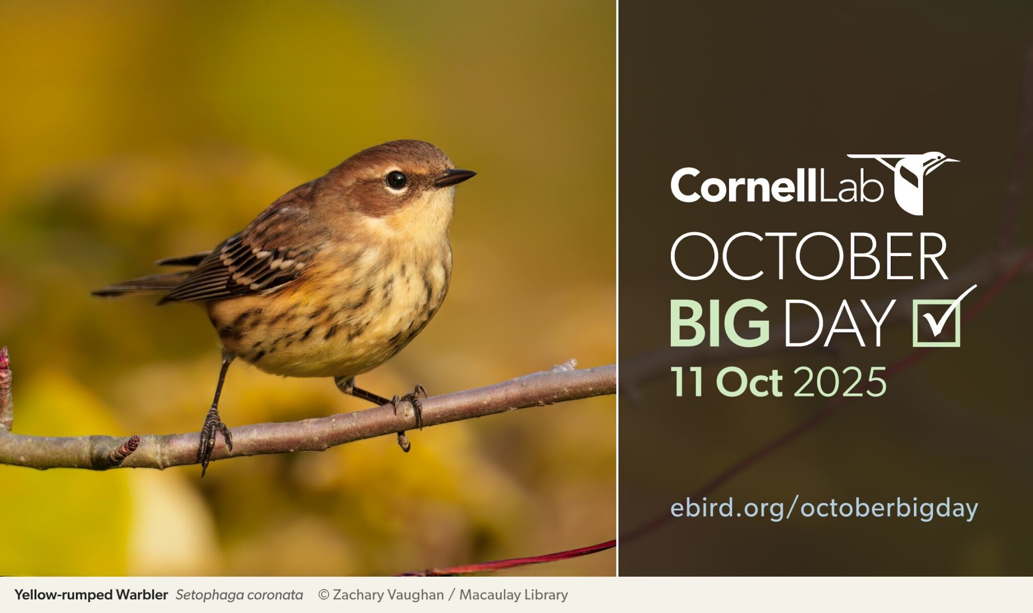 News - eBird Nova Scotia