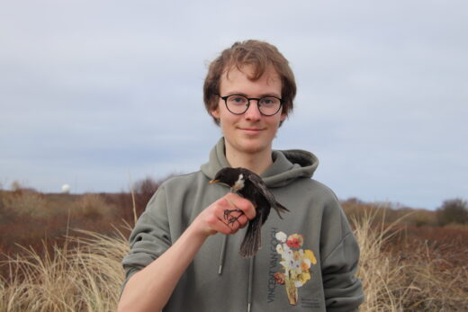 Simon Kiesé im Portrait - eBird Germany