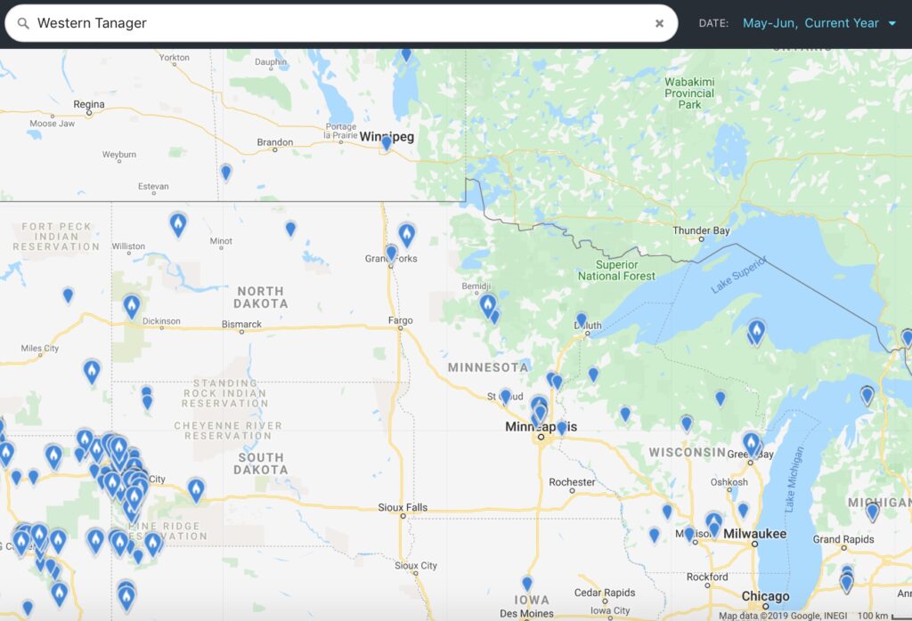 2019 Wisconsin eBird Year in Review - eBird Wisconsin