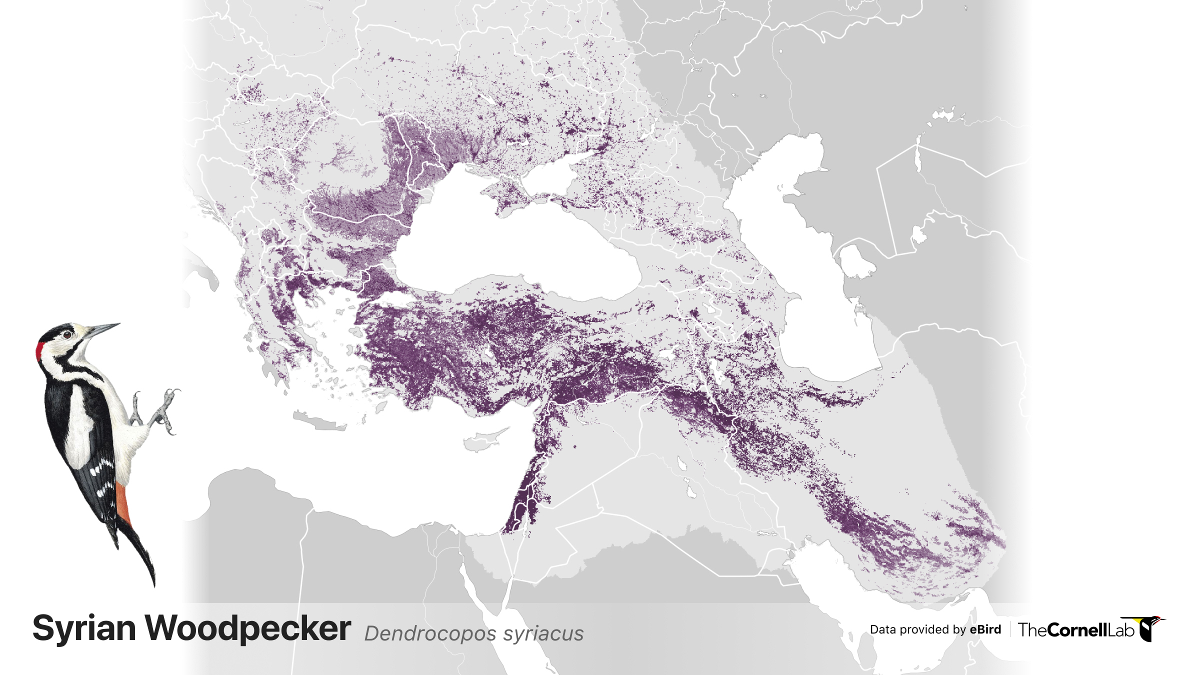Updated abundance and range maps for 2,068 species - eBird Wisconsin