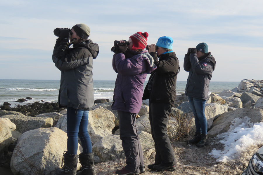 The Twitchers Go Viral in 2021! - New Hampshire eBird