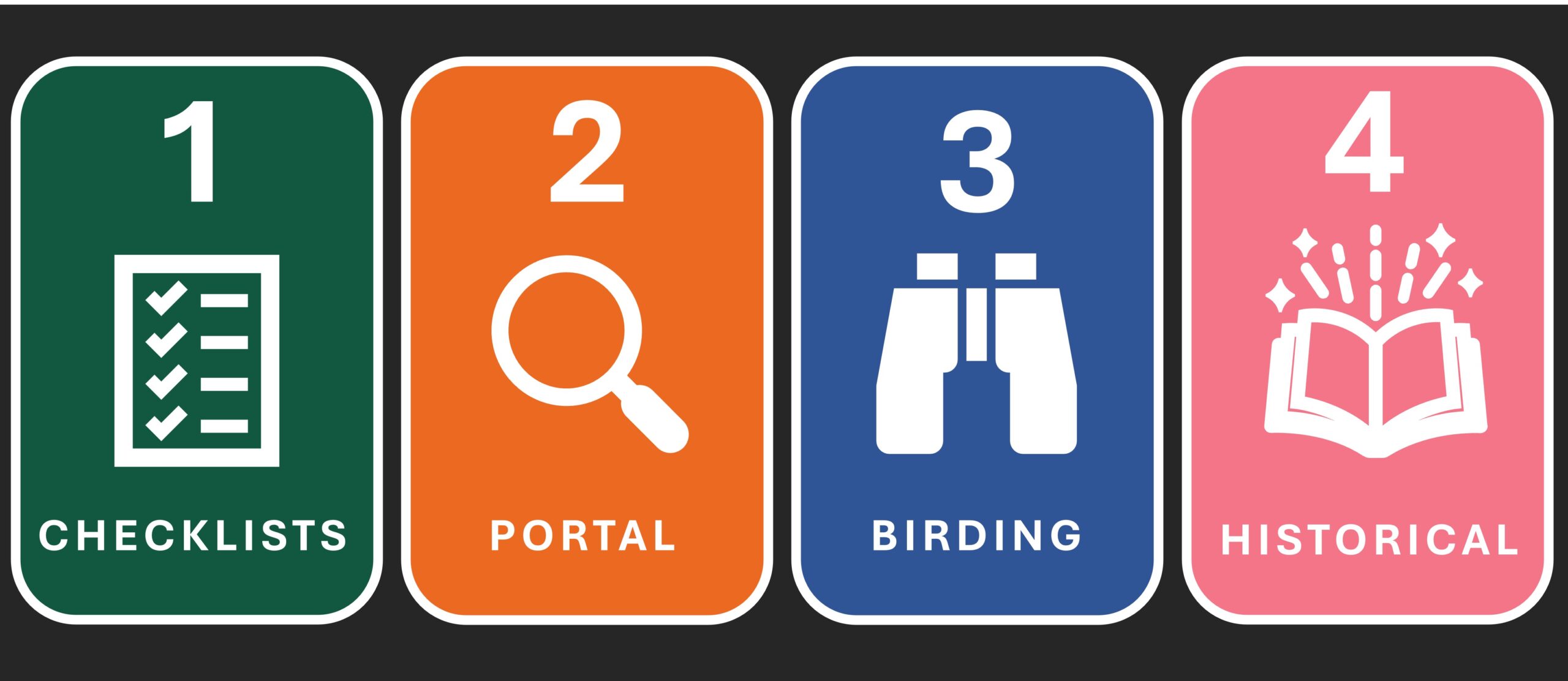 The Next Steps - eBird New Zealand