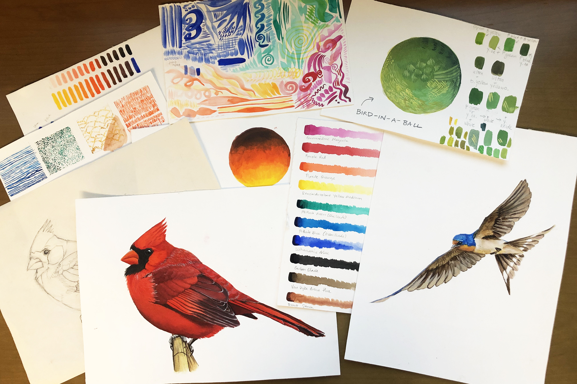 Gana un Curso gratuito de pintura de aves de Cornell Lab - eBird Chile