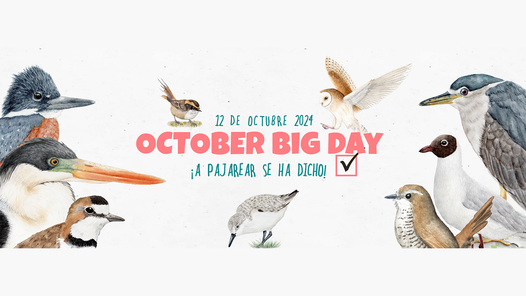 October Big Day—12 de Octubre de 2024 - eBird Chile