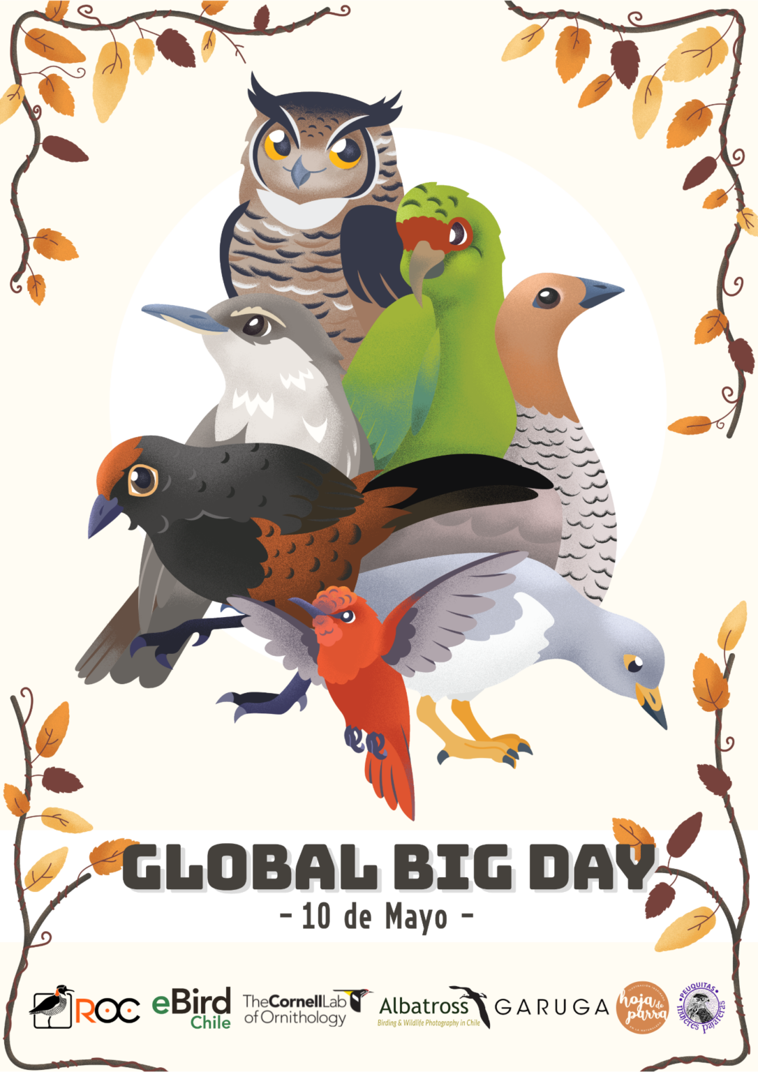 Global Big Day—10 de Mayo de 2025 - eBird Chile