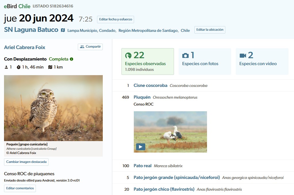 Destaca fotos y reordena multimedia en tus listas eBird - eBird Chile