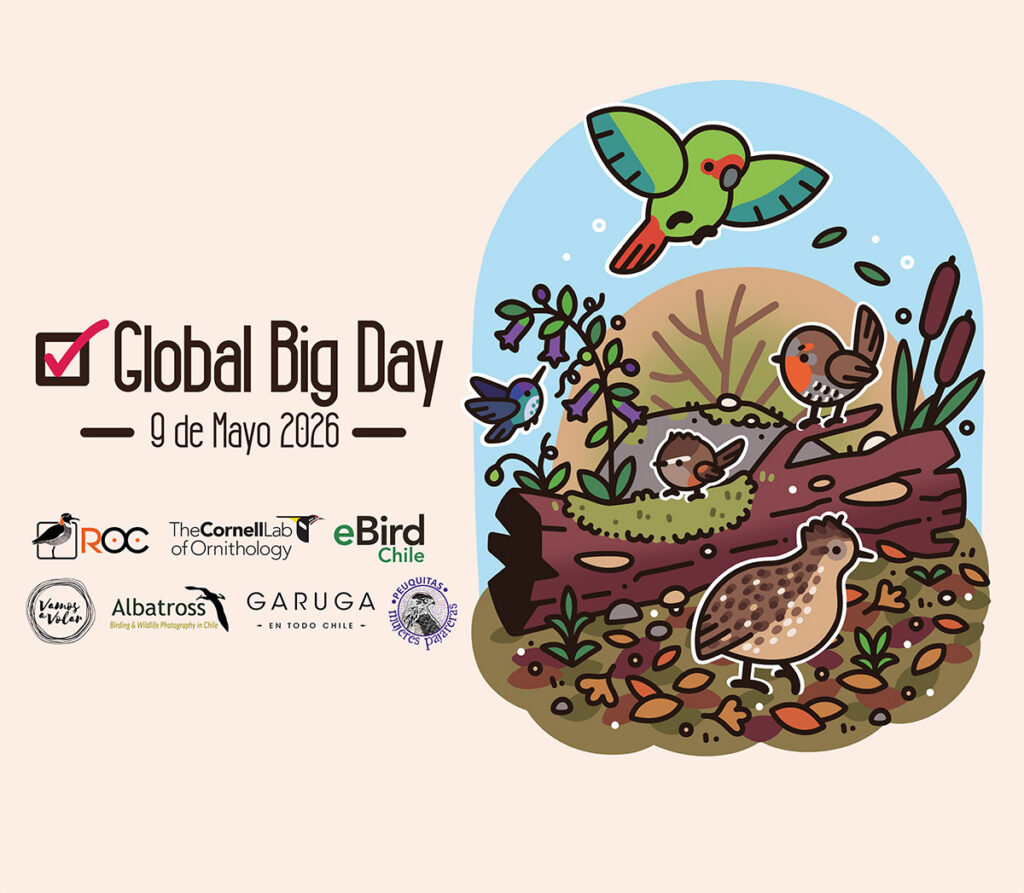 News - eBird Chile