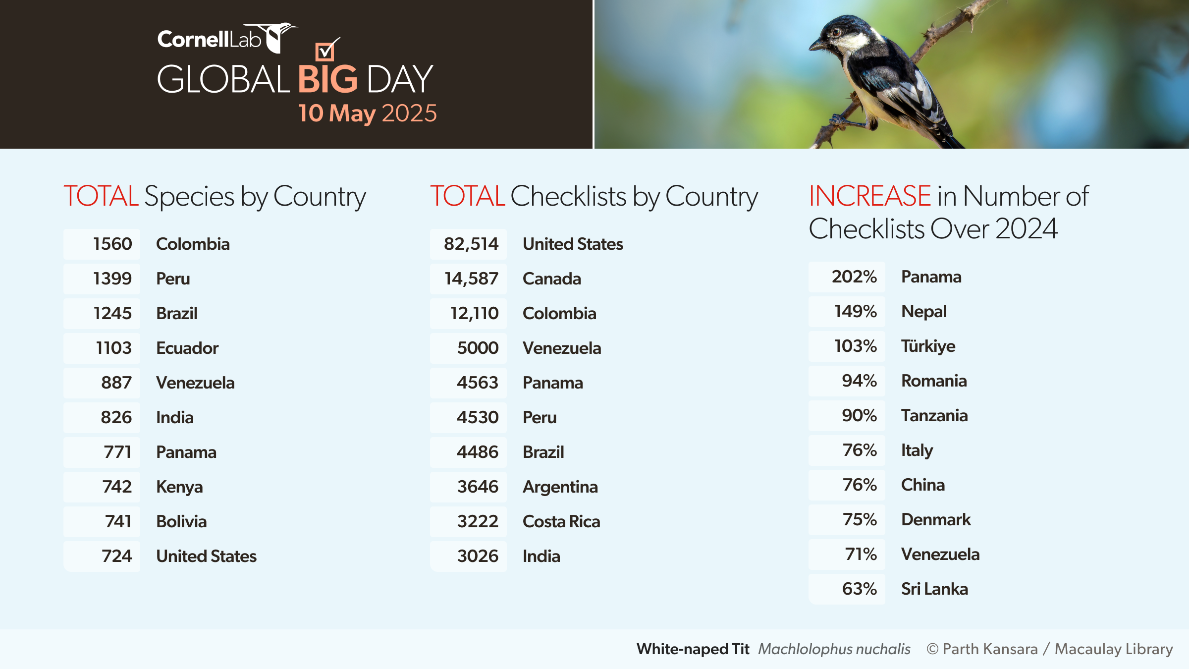 Resultados del Global Big Day 2025 - eBird Mexico