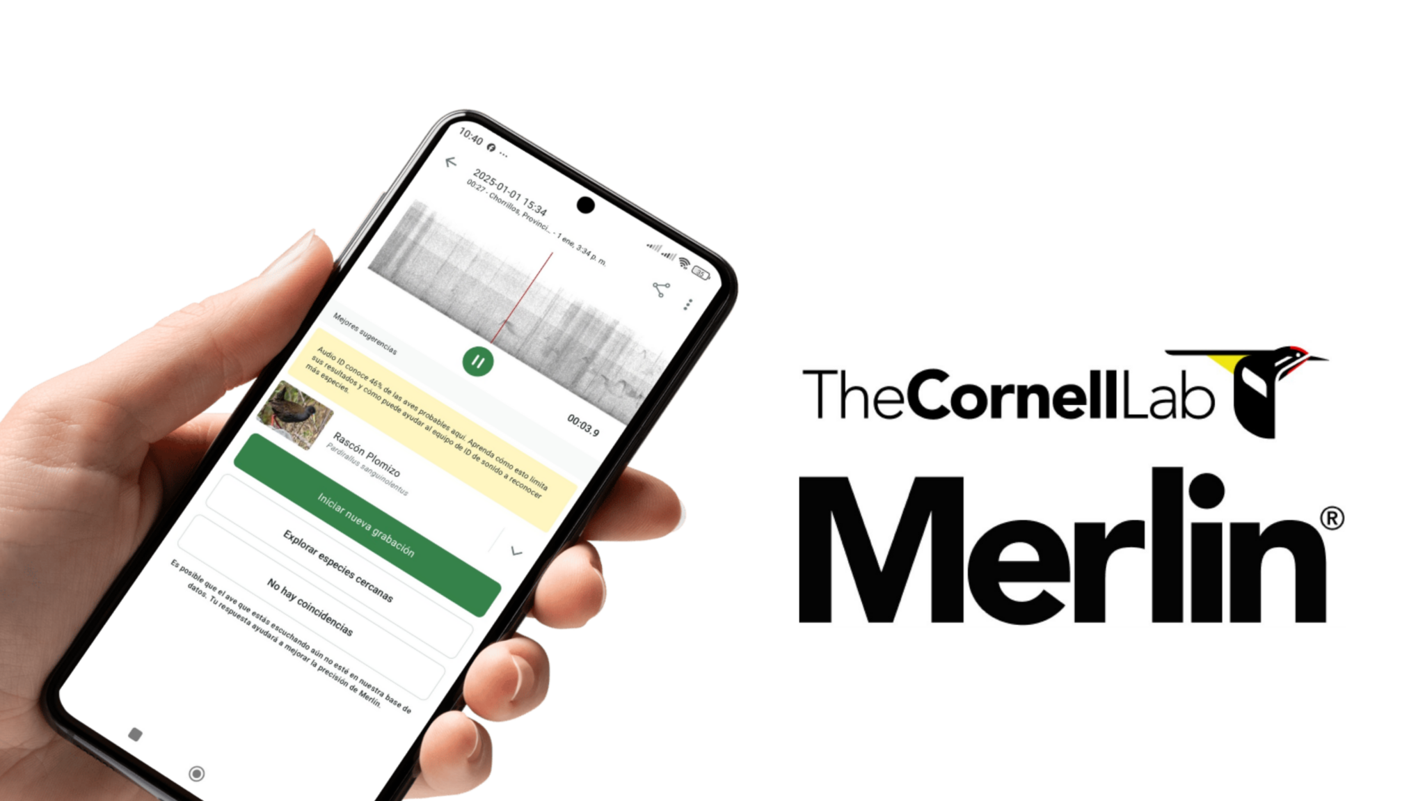 ¡Participa en el Quinto Reto de Grabación de Sonidos de Aves en Latinoamérica y el Caribe ...