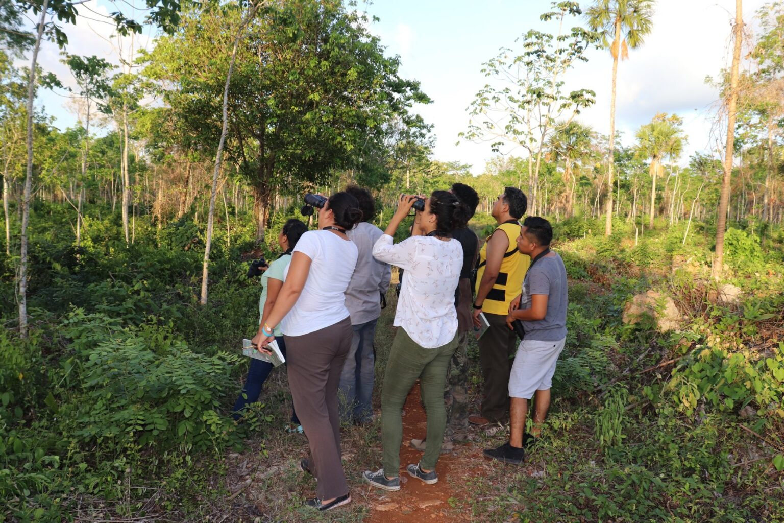 Gran día de Octubre—11 octubre de 2025 - eBird Mexico