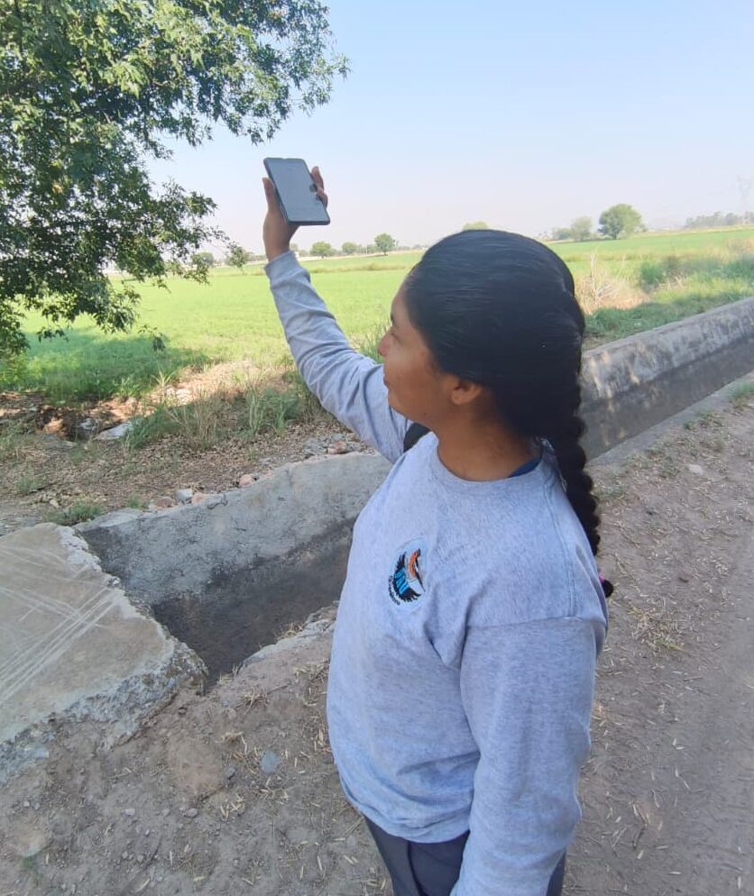 Grabatón 2026 - eBird Mexico