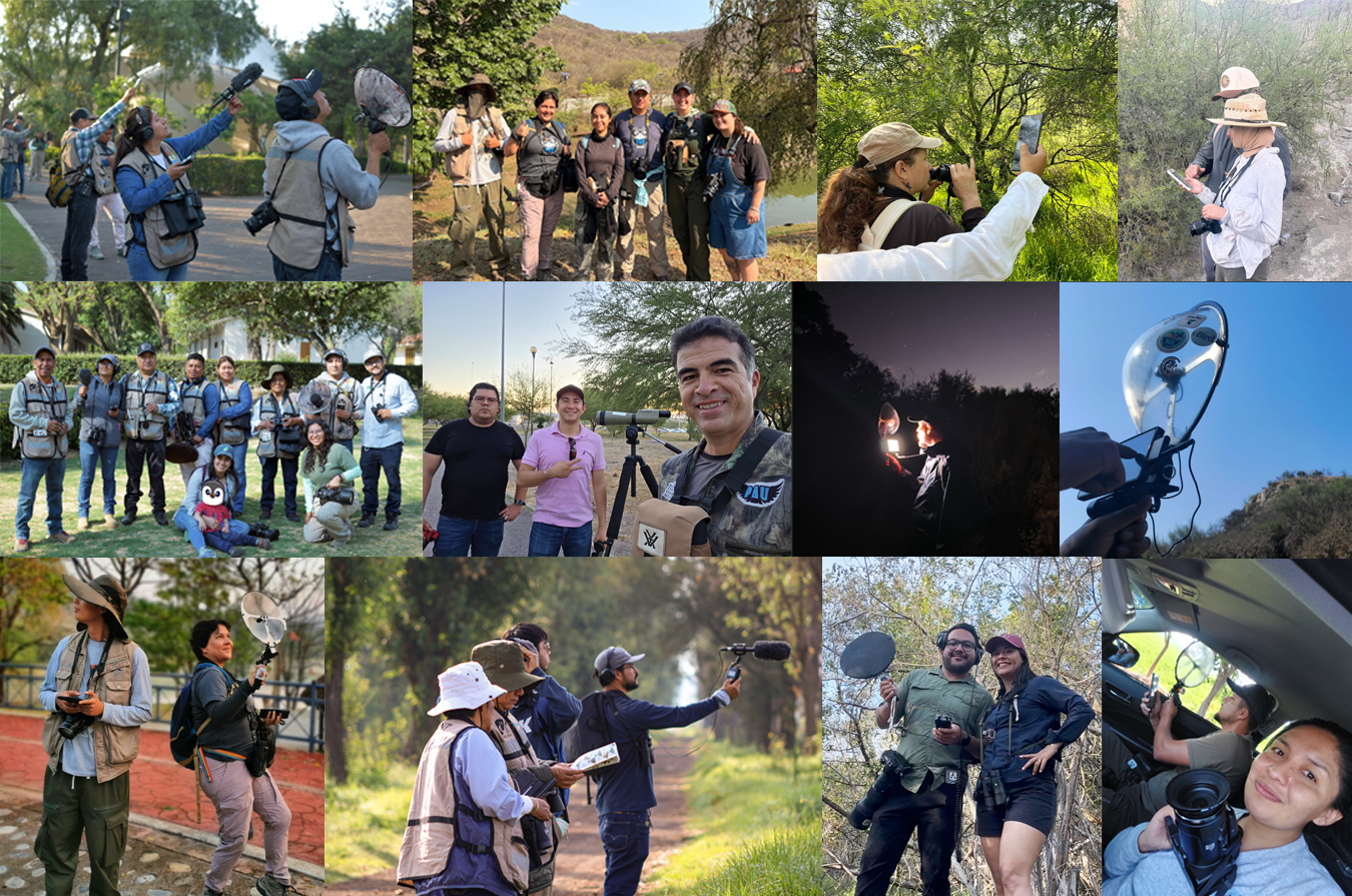 Grabatón 2026 - eBird Mexico