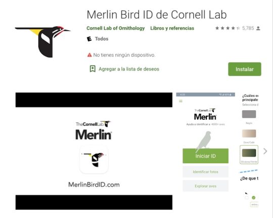 Se lanzará los paquetes Merlin-Perú, a los 10 años de la presentación ...