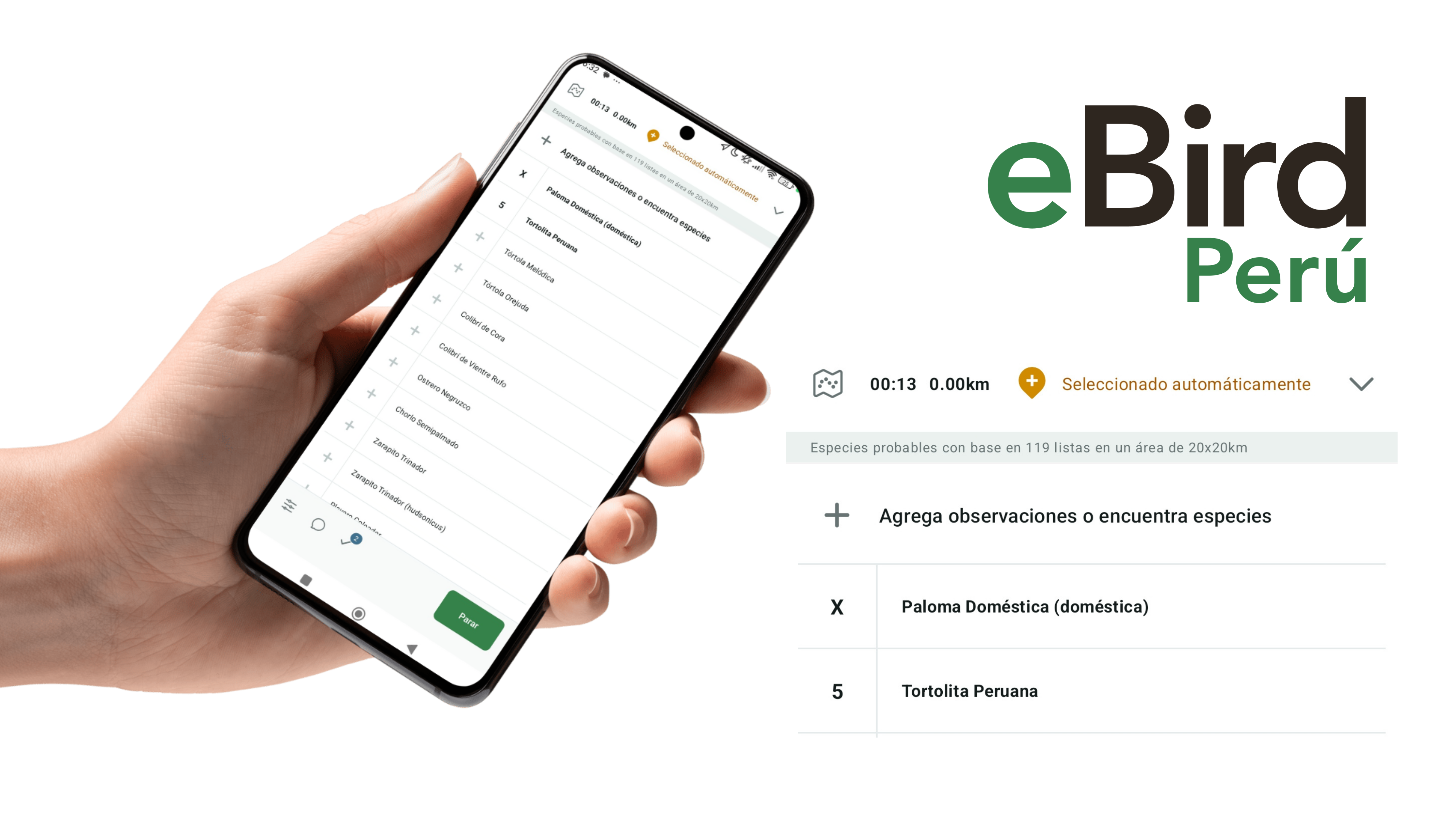 Desafío eBirder del Mes de febrero - eBird Peru