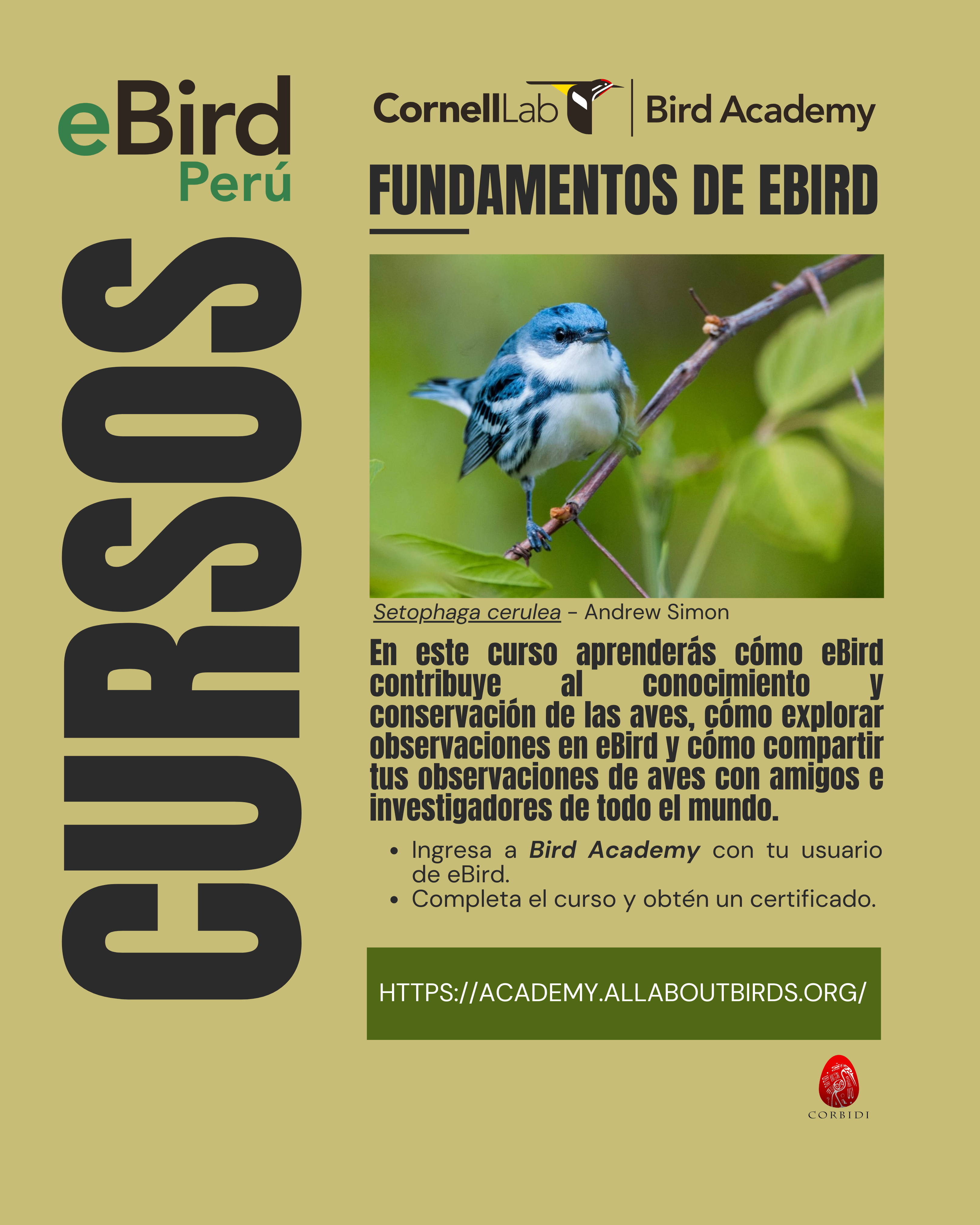 ¡Participa en el Seminario: Nos preparamos para el Global Big Day ...