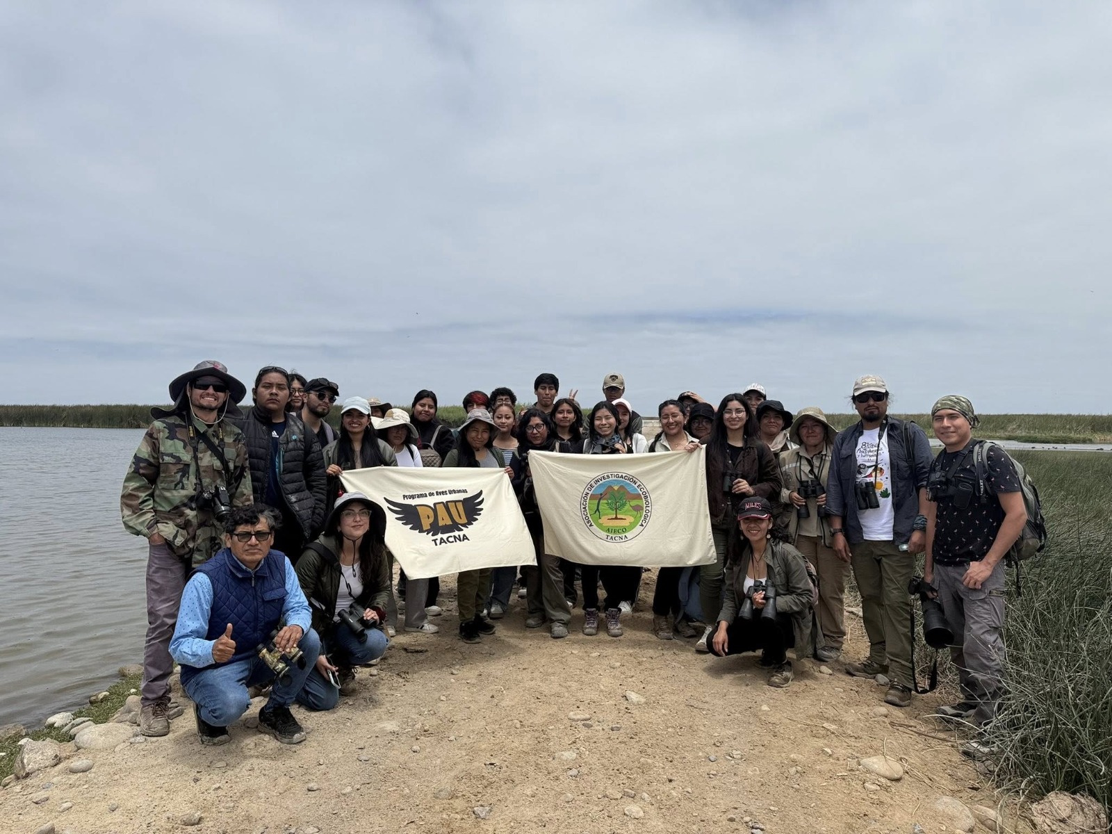 Logro colectivo en el October Big Day 2025 - eBird Peru