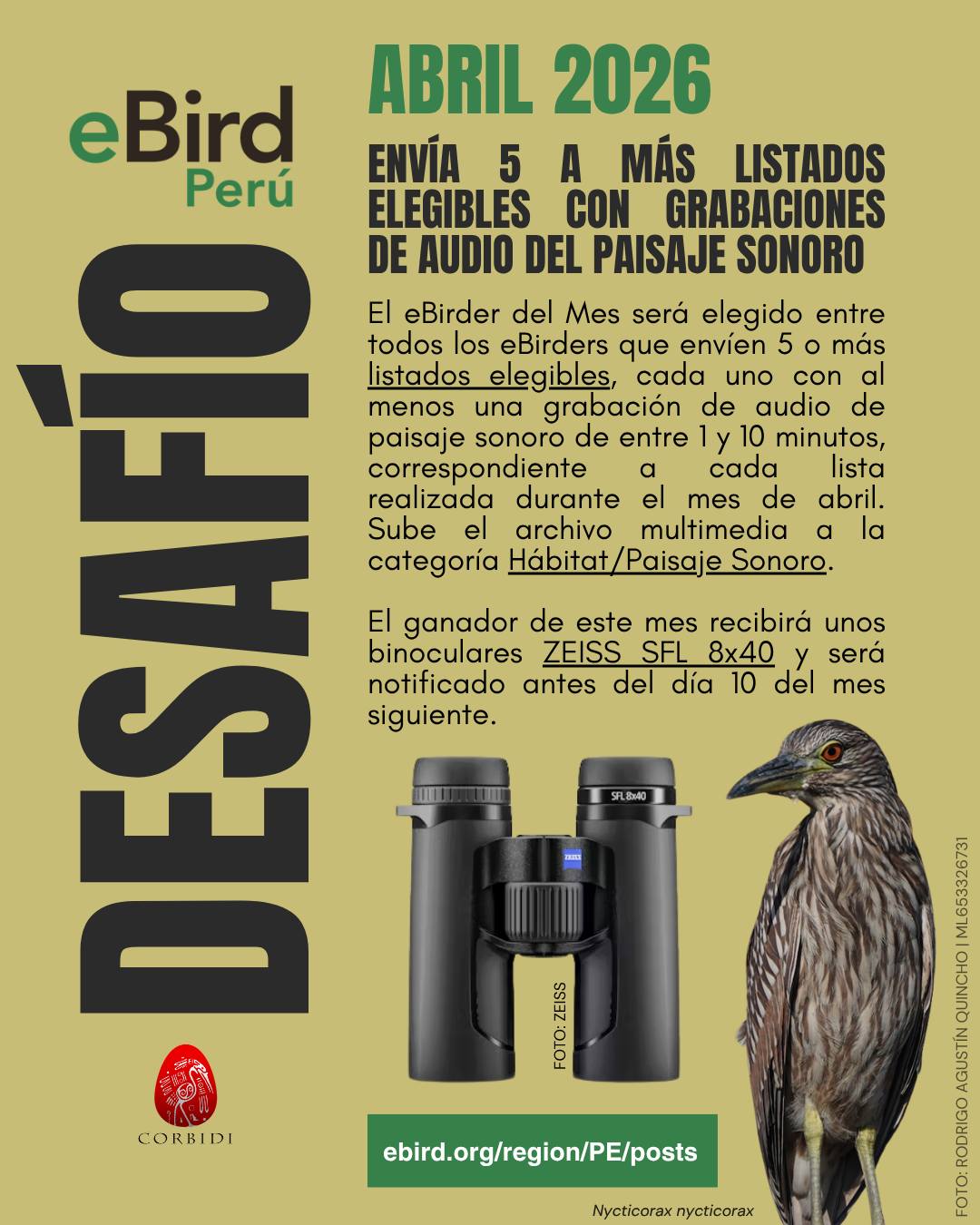 Desafío eBirder del mes de abril 2026 - eBird Peru