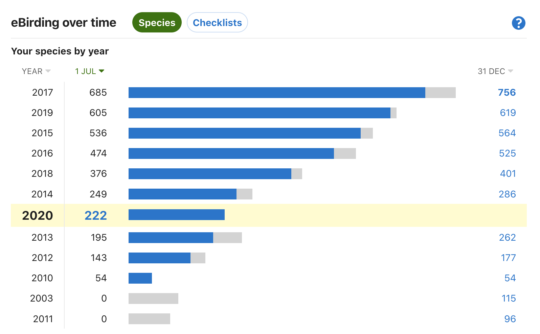 New ways to explore your activity on My eBird - eBird