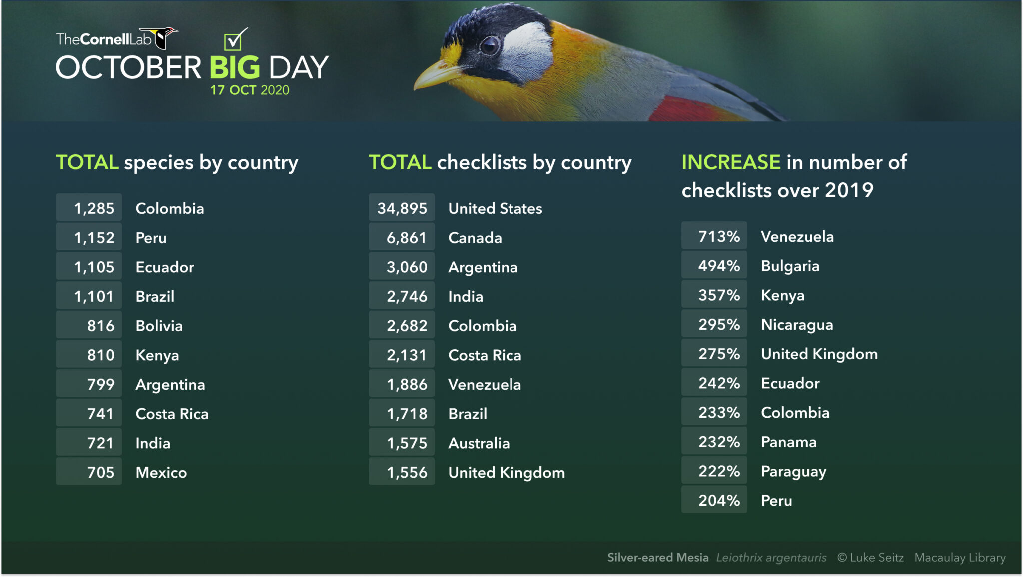 October Big Day 2020: a global birding phenomenon - eBird