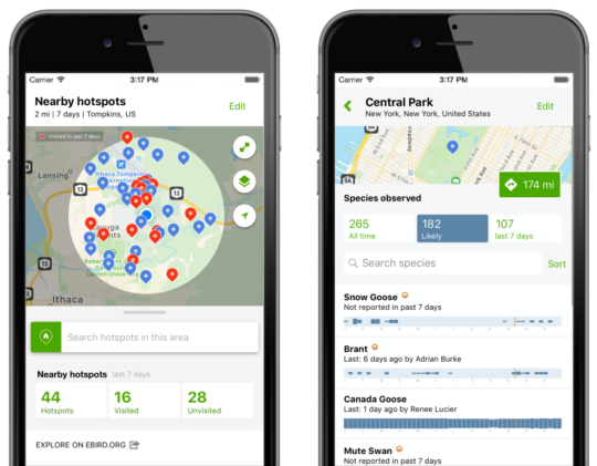 eBird Mobile - eBird