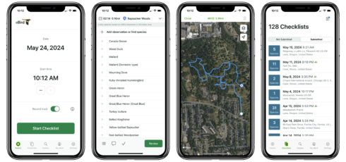 eBird Mobile - eBird