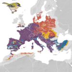 Range maps - eBird