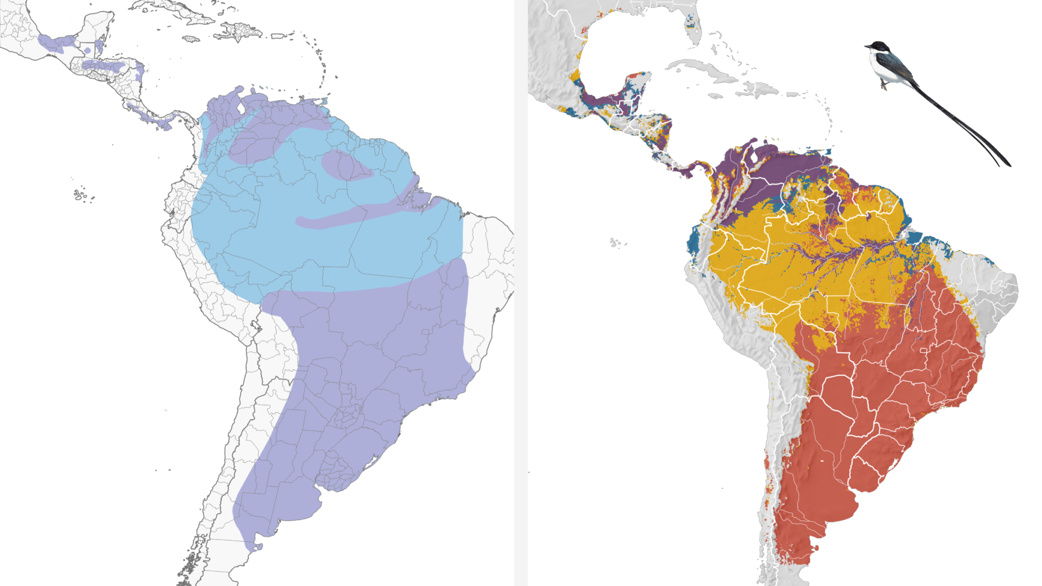 Range Maps - eBird Science