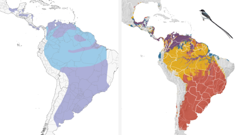 Range maps - eBird