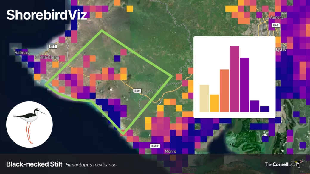 Featured Projects - eBird Science