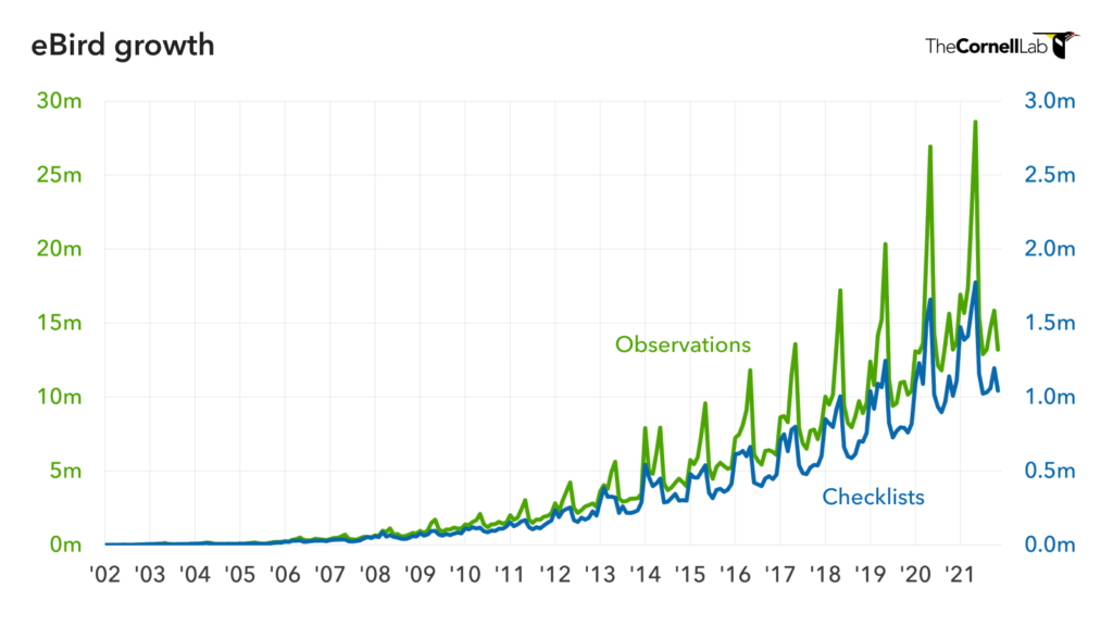 2021 Year in Review: eBird, Merlin, Macaulay Library, and Birds of the ...