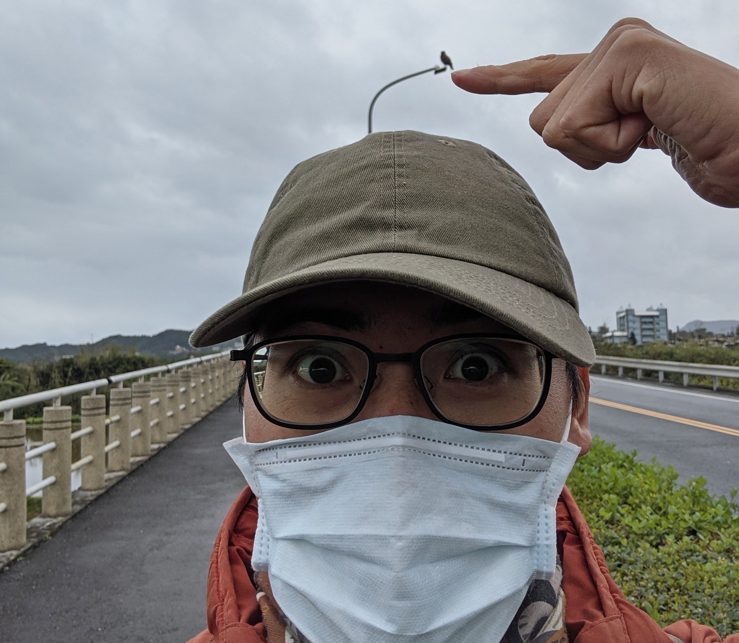 2021 Checklist-a-day Challenge winners - eBird Australia