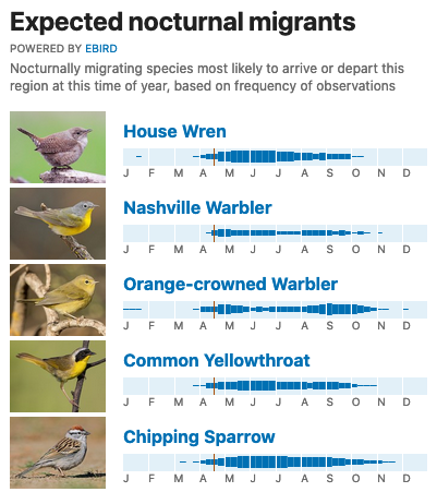 New BirdCast Migration Dashboard reveals nightly migration in near real ...
