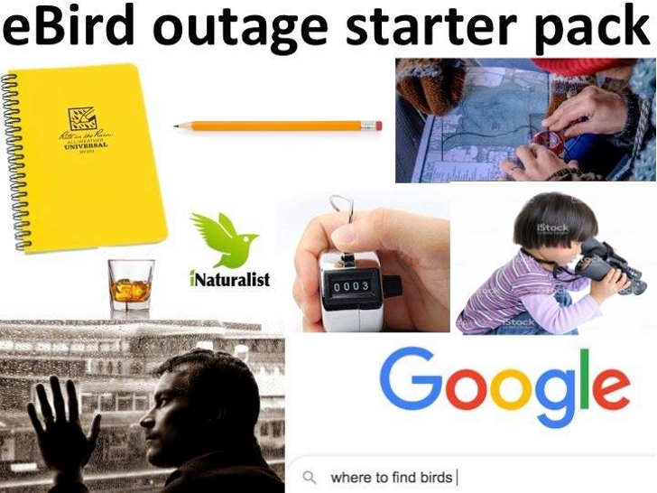 Celebrating eBird’s 20th Anniversary - eBird