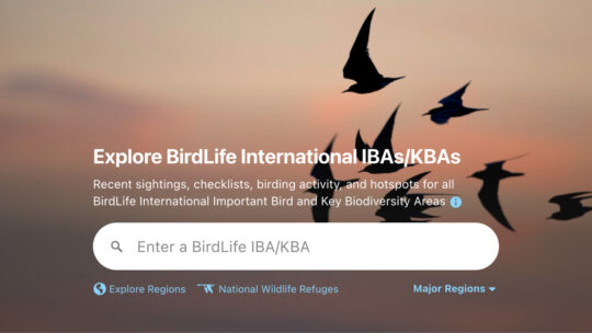 News - eBird