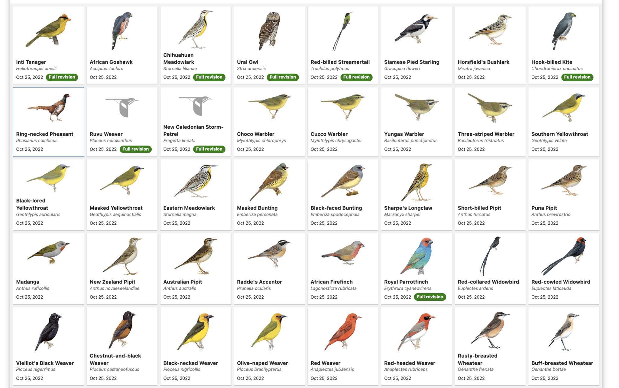 2022 eBird taxonomy update - eBird