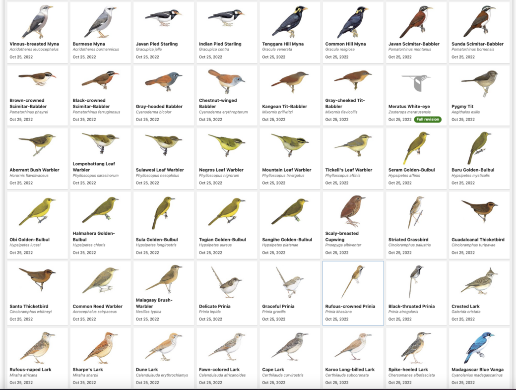 2022 eBird taxonomy update - eBird Science