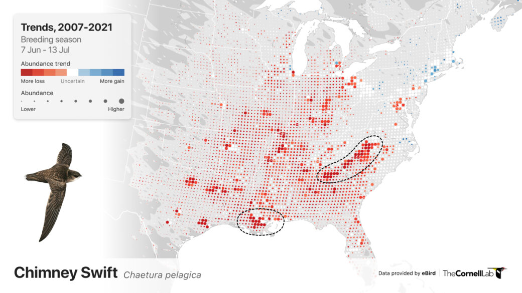 Trends maps - eBird Science