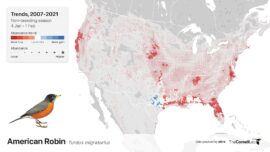 Trends maps - eBird Science