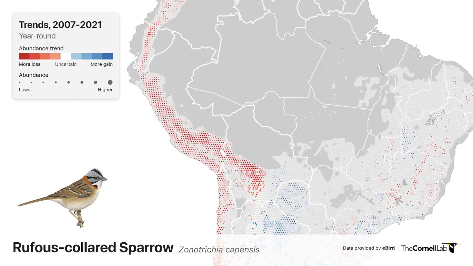 Trends maps - eBird Science
