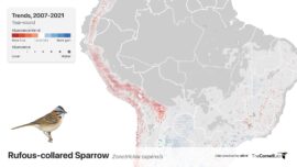 Trends maps - eBird Science