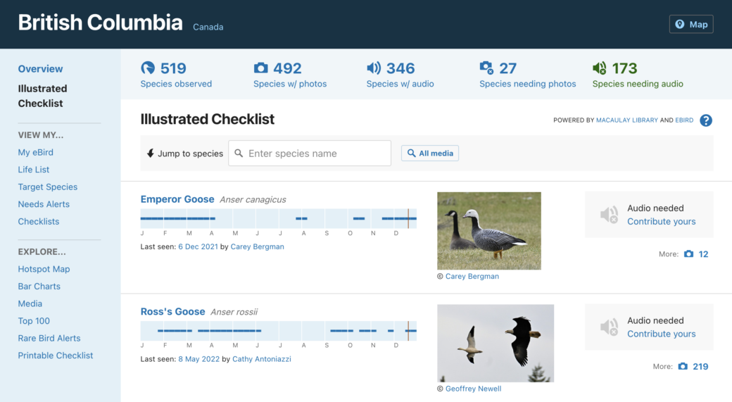 New Year’s Resolution 2023: eBird - eBird