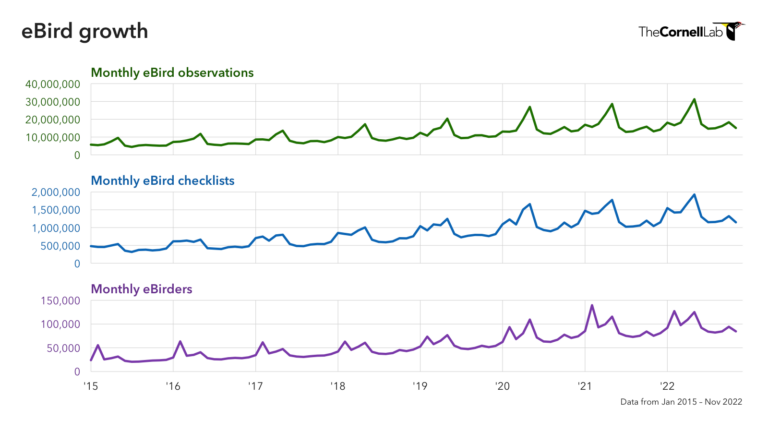 2022 Year in Review: eBird, Merlin, Macaulay Library, and Birds of the ...