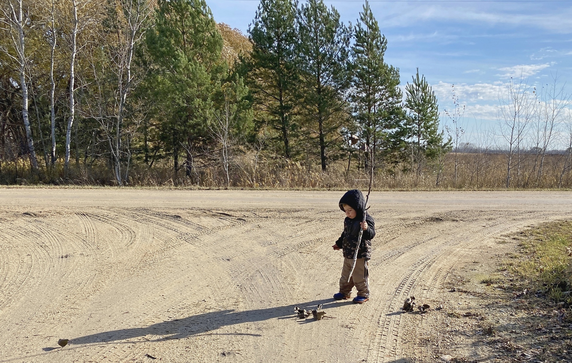 2022 Checklist-a-day Challenge winners - eBird