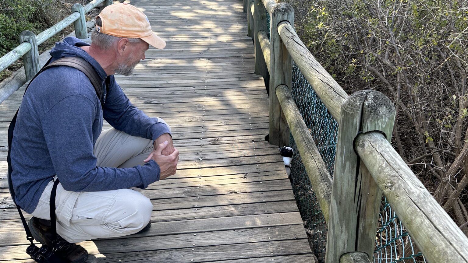 News - eBird