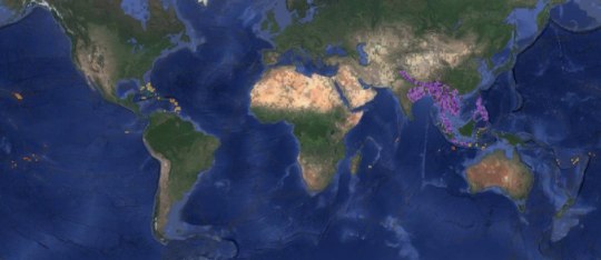 2023 Taxonomy Update—COMPLETE - eBird