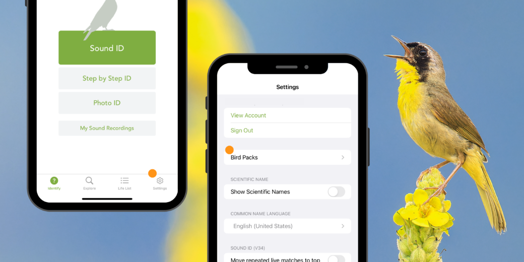 December eBirder of the Month Challenge - eBird